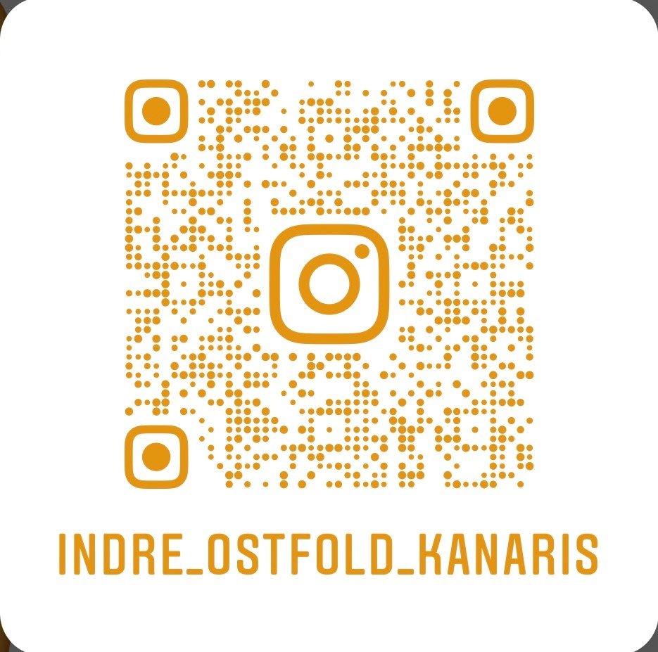 Indre Østfold Kanaris vil vokse: Inviterer barnefamilier til Glimt ... Indre Østfold Kanaris vil vokse: Inviterer barnefamilier til Glimt ...